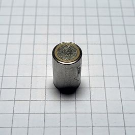 Inlet check valve for C02